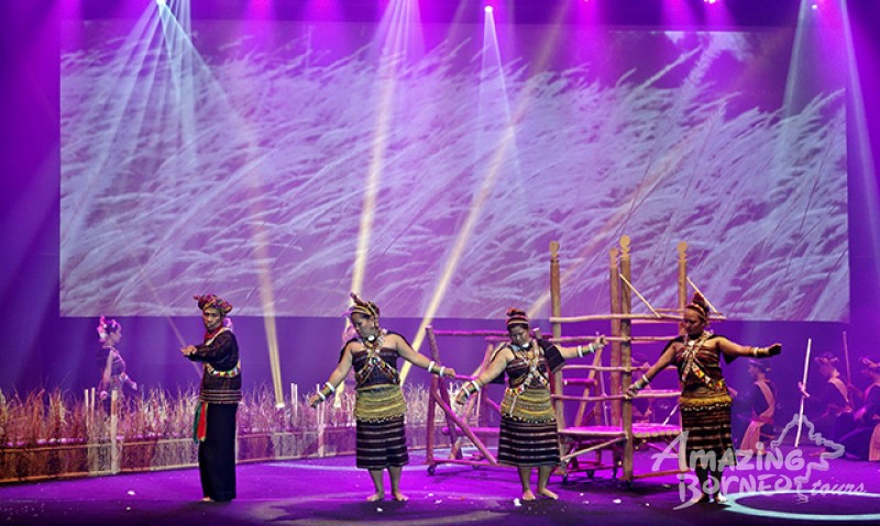 Sabah Fest 2014 | Travelogue - Amazing Borneo Tours